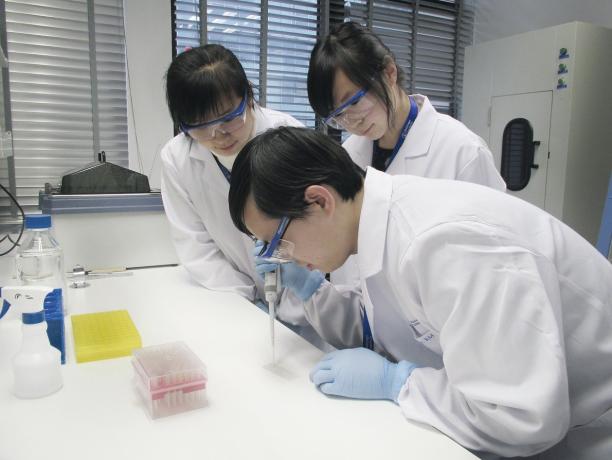 | Boehringer Ingelheim Talent Network